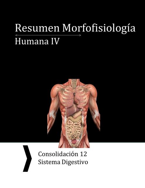 Resúmen consolidación morfo lV | uDocz