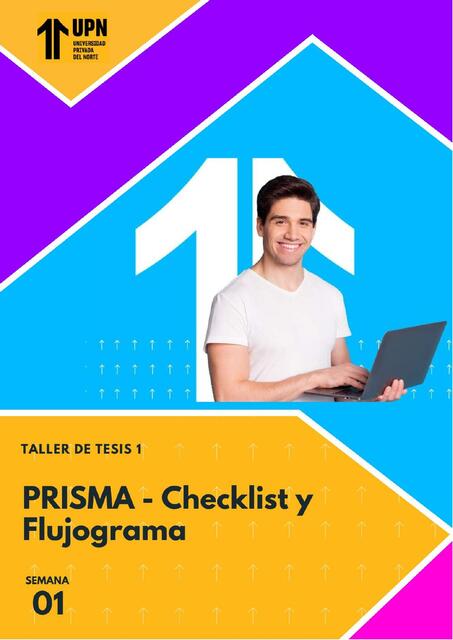 Prisma- Checklist y Flujograma | Joshua | uDocz