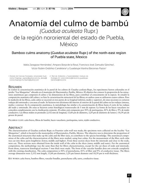 Anatomía del culmo de Bambú | Winny Saamia Saavedra Soler | uDocz