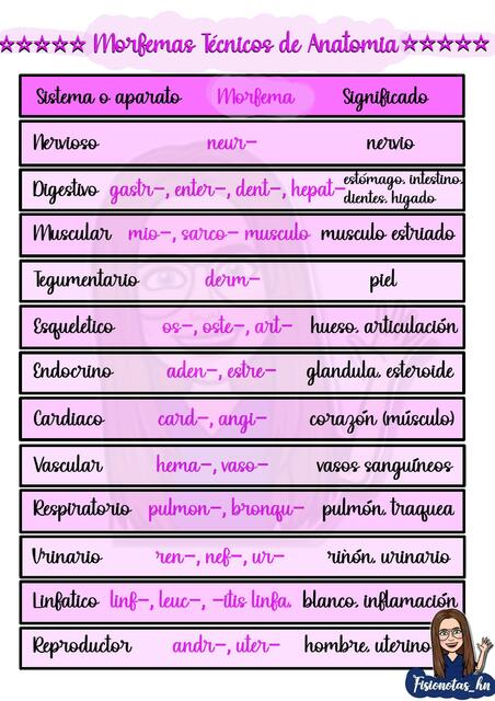 Morfemas Técnicos de Anatomía | Fisionotas_hn | uDocz