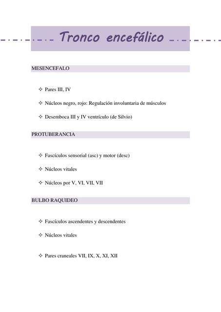 Tronco encefálico | Agustina | uDocz