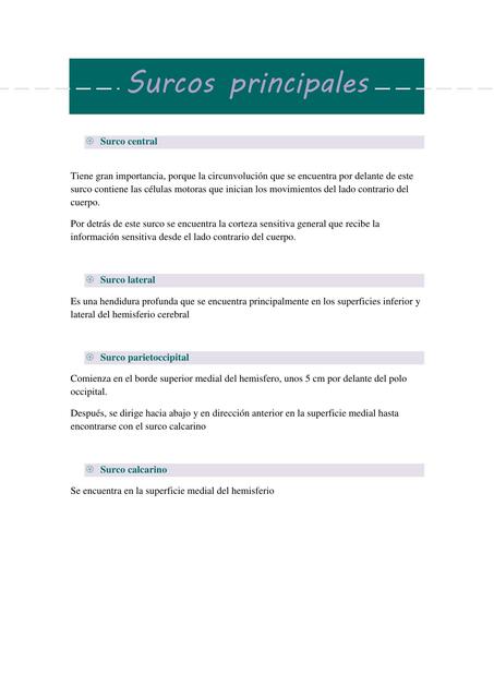 Surcos principales | Agustina | uDocz