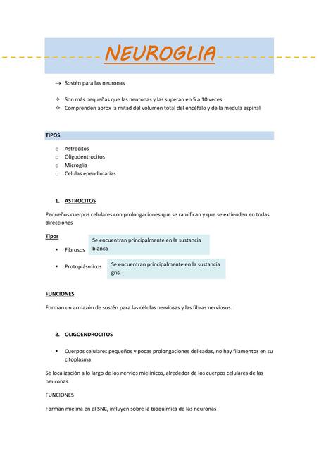Neuroglia | Agustina | uDocz