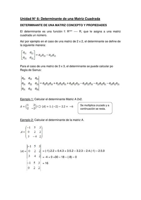 DETERMINANTE DE UN MATRIZ CUADRADA | Ana B. | uDocz