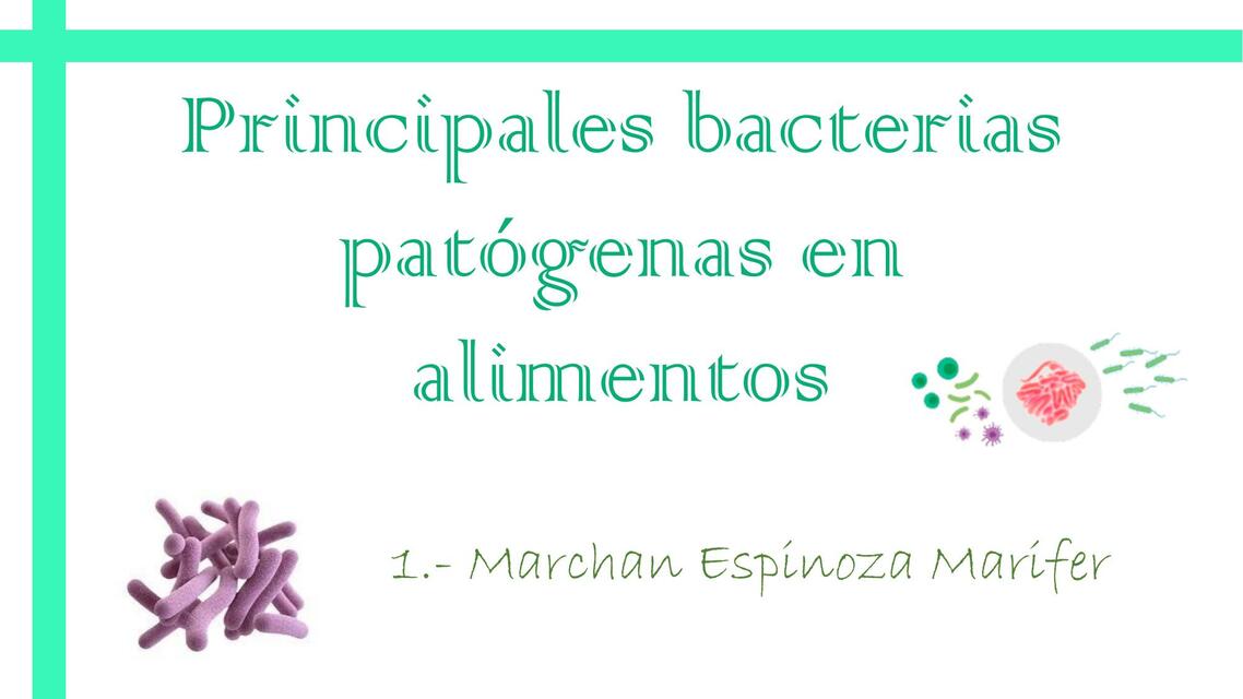 Principales bacterias patogenas en alimentos | MARIFER | uDocz