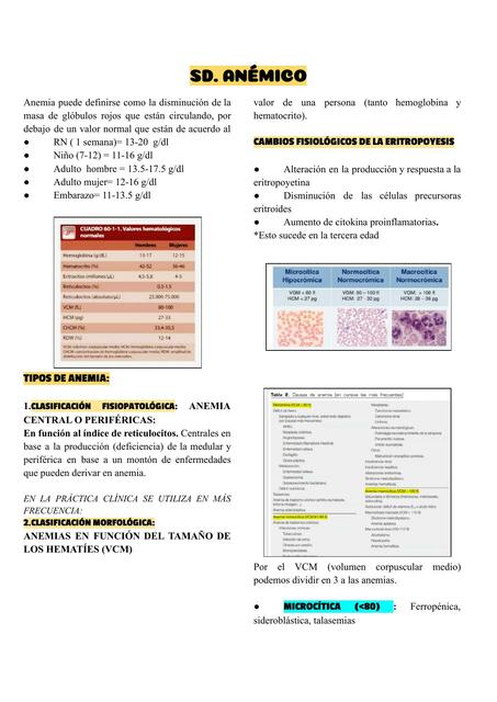 Sd. Anémico - Semiología general | Piero Vega | uDocz