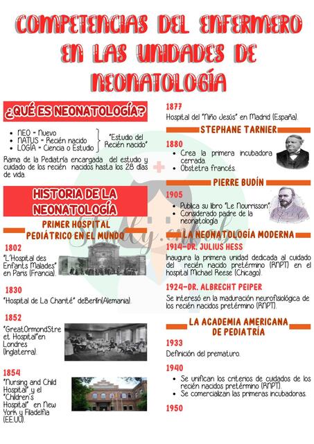 Competencias del enfermero en la Unidad de Neonatología | Antonella Rivadeneyra Ramirez | uDocz