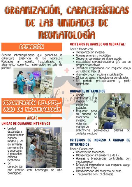 Organización, Características de las unidades de Neonatología | Antonella Rivadeneyra Ramirez ...
