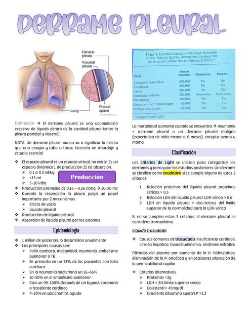 Derrame pleural | Camila Dominguez | uDocz