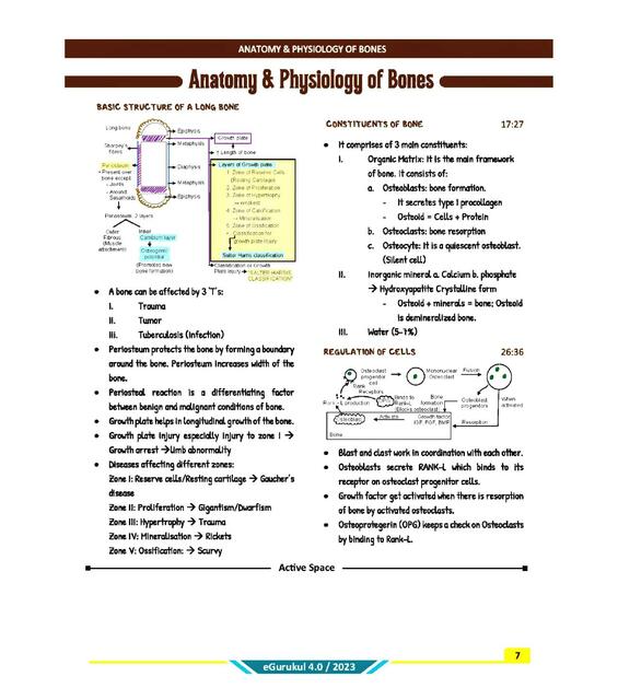 Anatomy y physiologt of bones | MEDICSTORE | uDocz