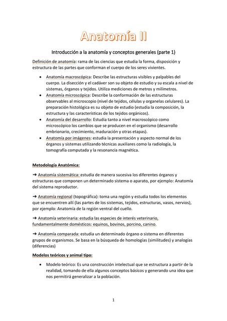 Anatomía II | Grisel | uDocz