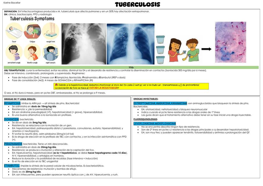 TBC | Karine Bacellar | uDocz