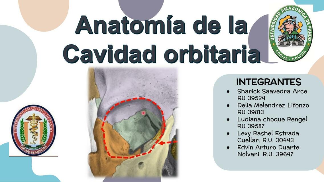 Anatomia de oido y cavidad orbitaria 3er rote | Yanir | uDocz Anatomia de oido y cavidad orbitaria 3er rote | Yanir | uDocz