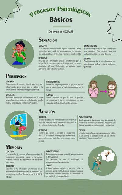 Procesos Psicológicos Básicos | Claudia | uDocz