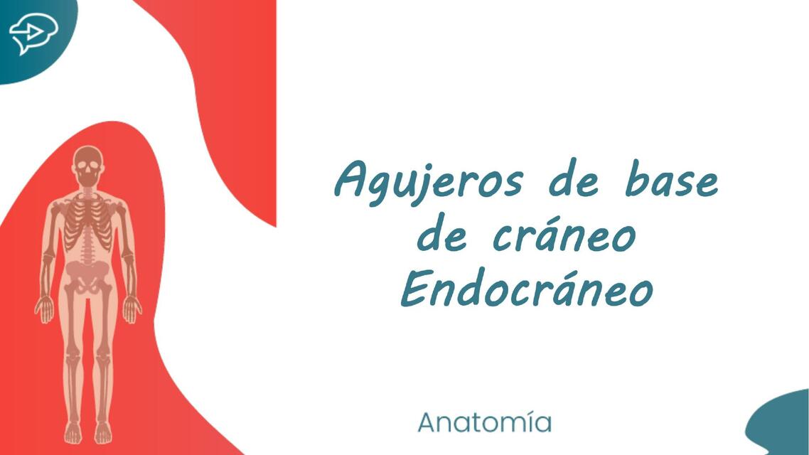 Agujeros de la Base del Cráneo: Endocráneo | HemoStudent | uDocz
