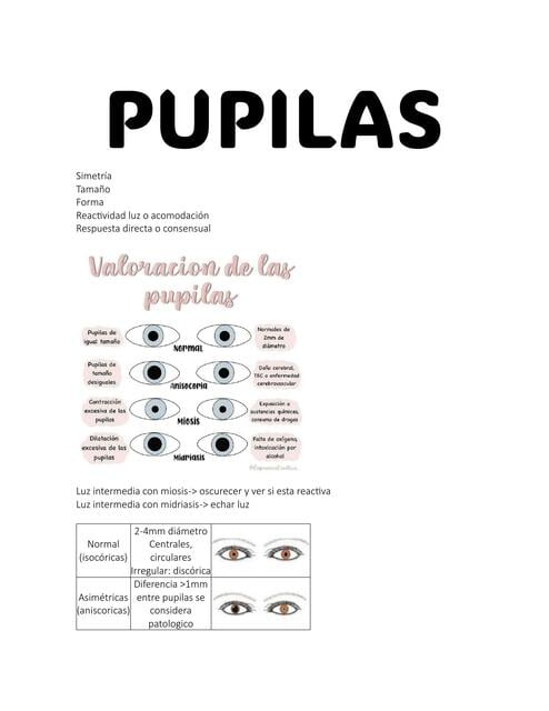 Pupilas Medika Notes Udocz 1328