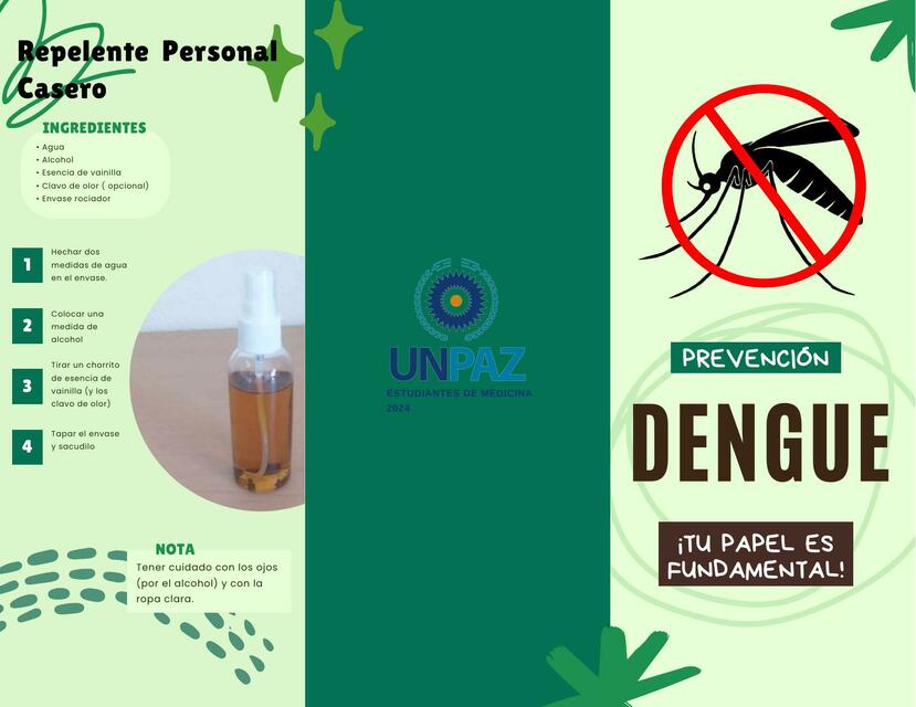 Folleto Tríptico sobre Dengue | Florencia Gimenez | uDocz