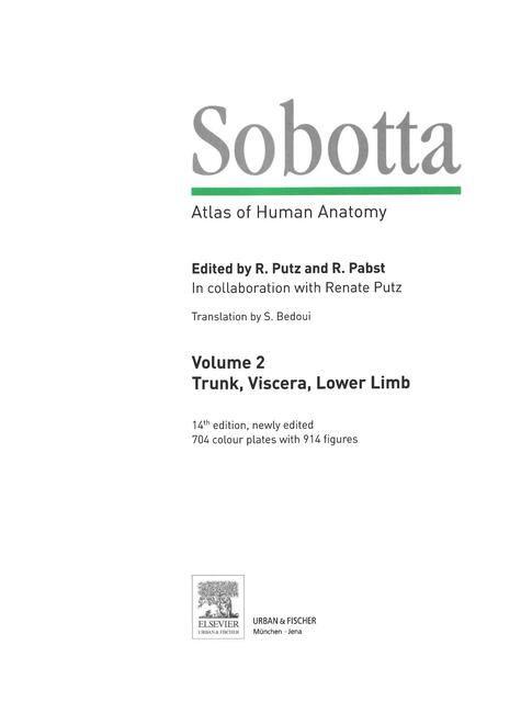 Atlas de Sobotta de anatomía humana Tronco Vísceras inferiores | Cristina Guzmán | uDocz