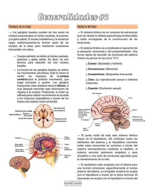 Generalidades Neuropsicología 3 (@psicol_studies) | psicol_studies | uDocz