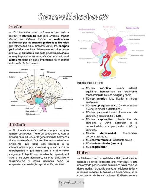 Generalidades Neuropsicología 2 (@psicol_studies) | psicol_studies | uDocz