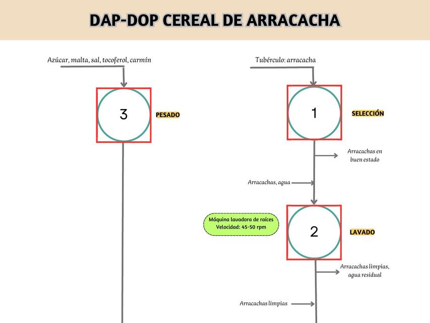 Dap -Dop Cereal de arracacha | Sayuri | uDocz