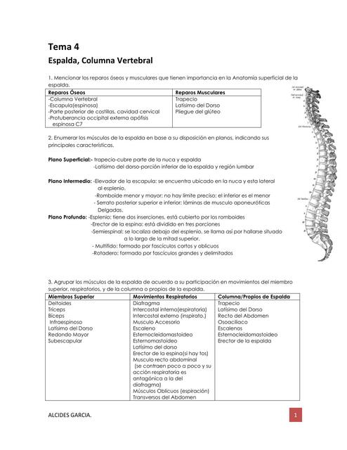 Espalda Columna Vertebral | Alcides García. | uDocz