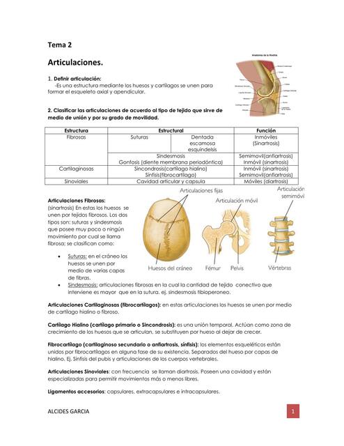 Articulaciones | Alcides García. | uDocz