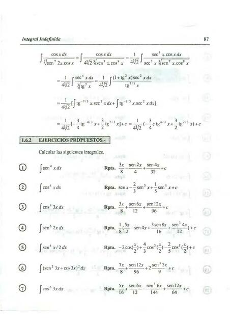 Integral Indefinida | Elizabeth Ramirez | uDocz