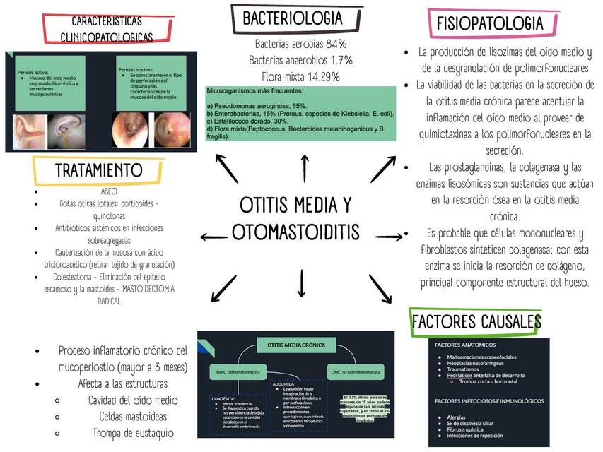 Otitis media y otomastoiditis | lisbeth Urrea | uDocz