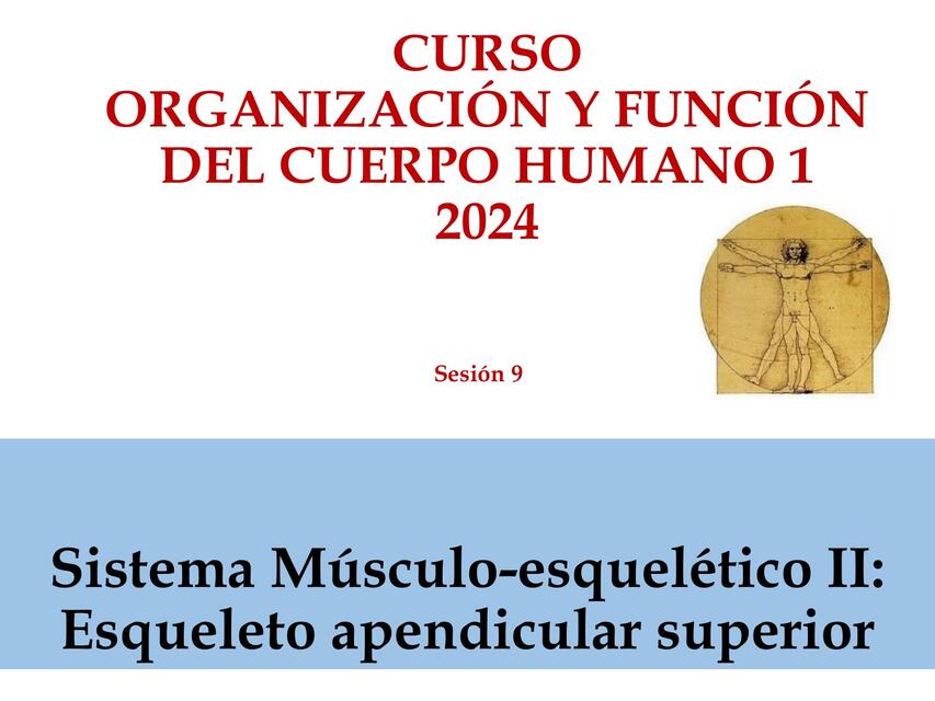 Sistema Músculo-esquelético II: Esqueleto apendicular superior | Lida ...