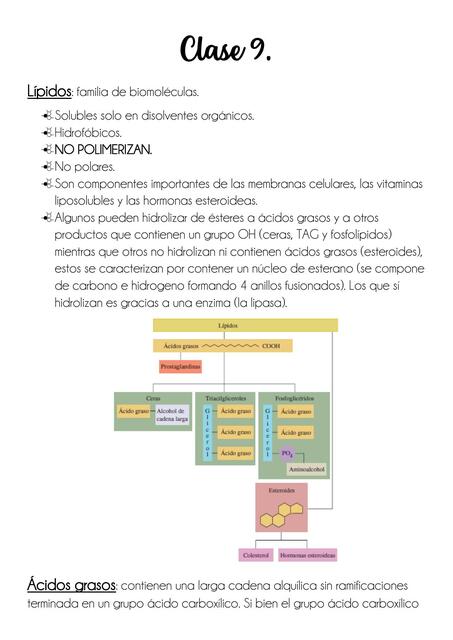 Clase 9: lípidos | Luli | uDocz