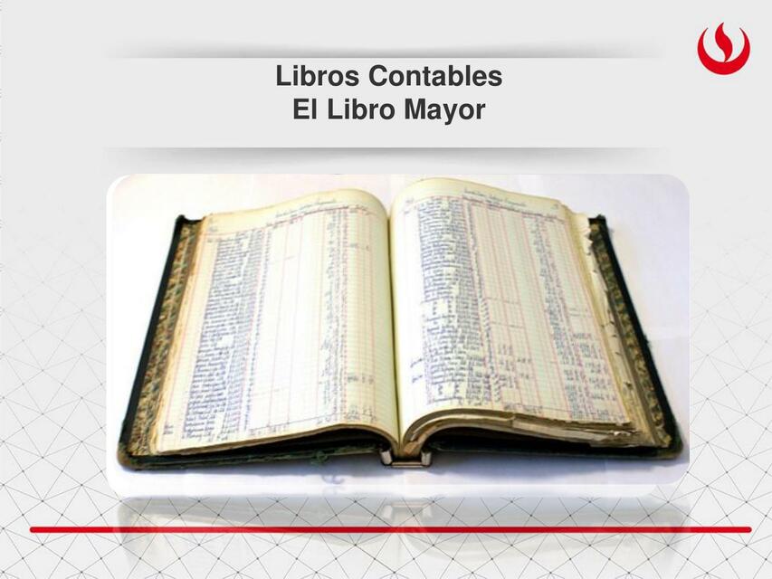 Libros Contables- El Libro Mayor | Miriam | uDocz