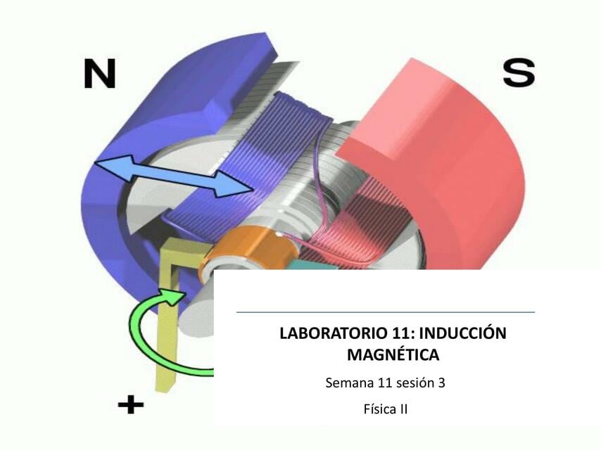 Inducción Magnética | Armando | uDocz
