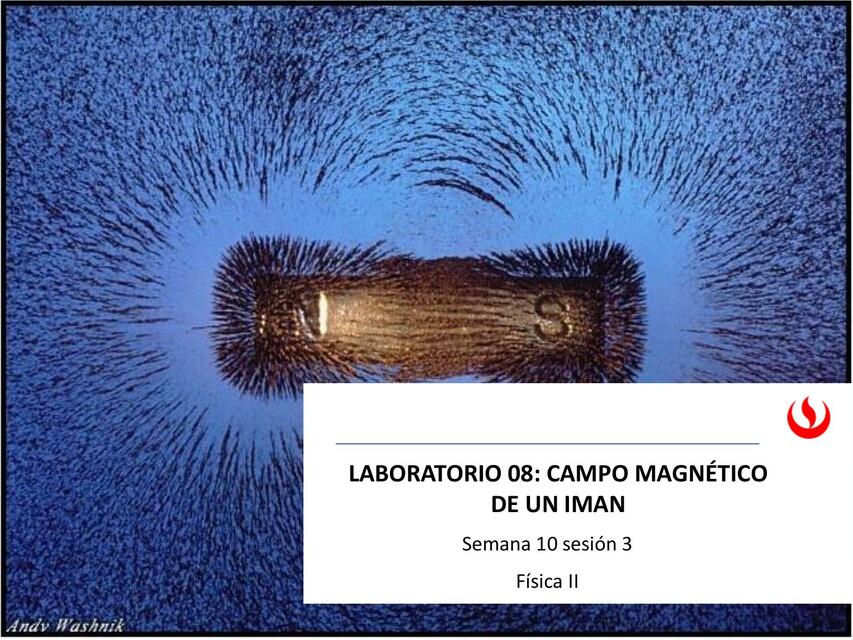 Laboratorio 08: Campo Magnético de un Imán | Armando | uDocz