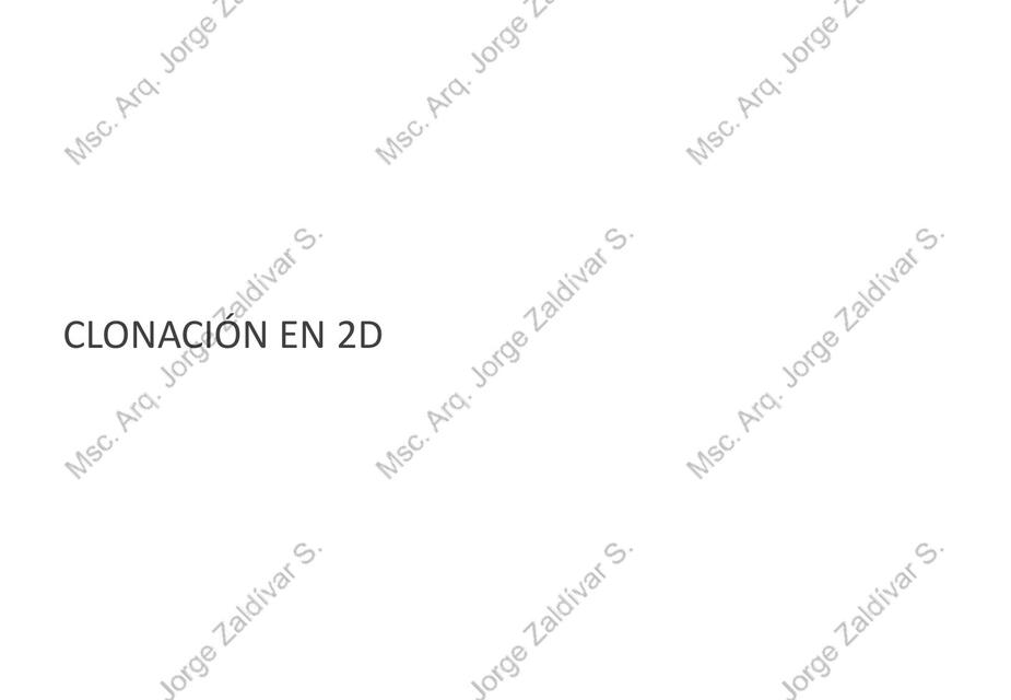 Clonación en 2D | Cami | uDocz