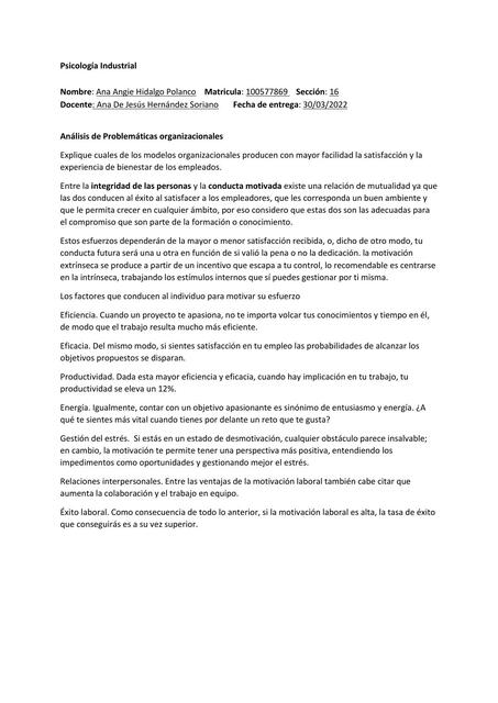 Modelos organizacionales | Anabella Hidalgo Polanco | uDocz