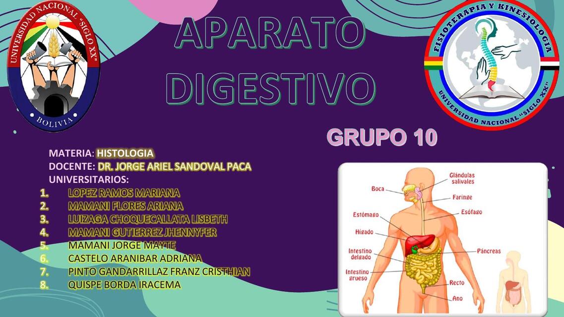 Aparato Digestivo | | uDocz