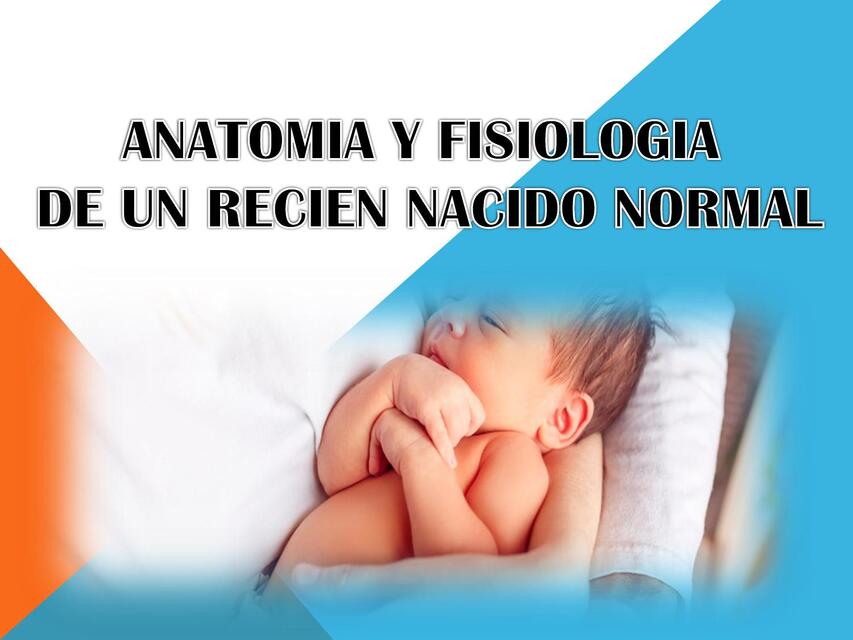 Anatomía y Fisiología de un recién nacido normal | Cynthia | uDocz