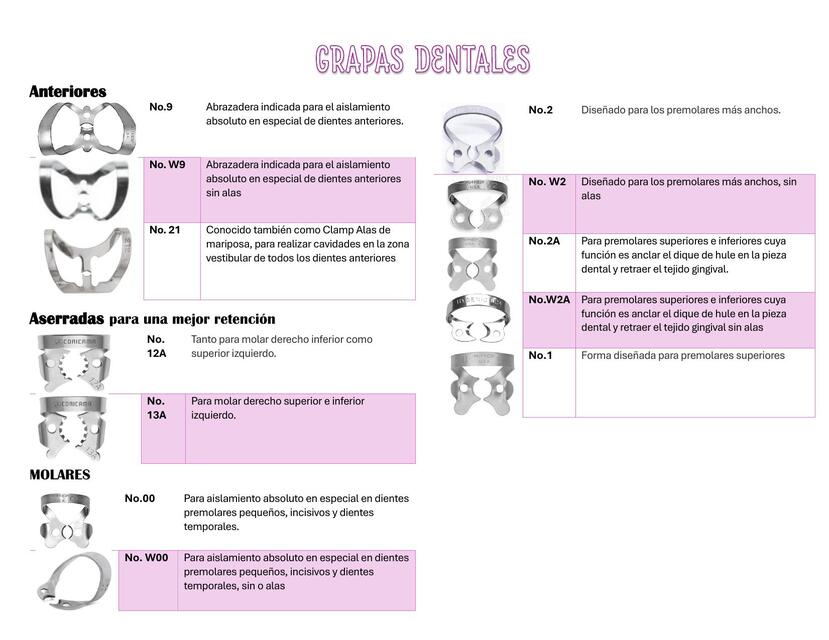 Grapas Dental | ivonne | uDocz