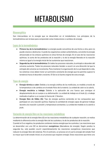 METABOLISMO | Anto | uDocz