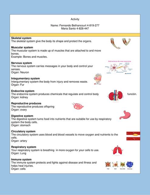 Activity Organ System | Fernando José Bethancourt Meléndez | uDocz