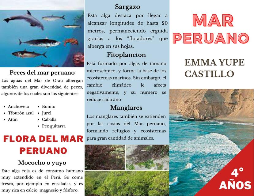 Mar peruano | Brenda Maria | uDocz