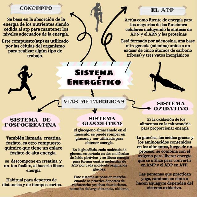 Sistema energético | Brenda Maria | uDocz