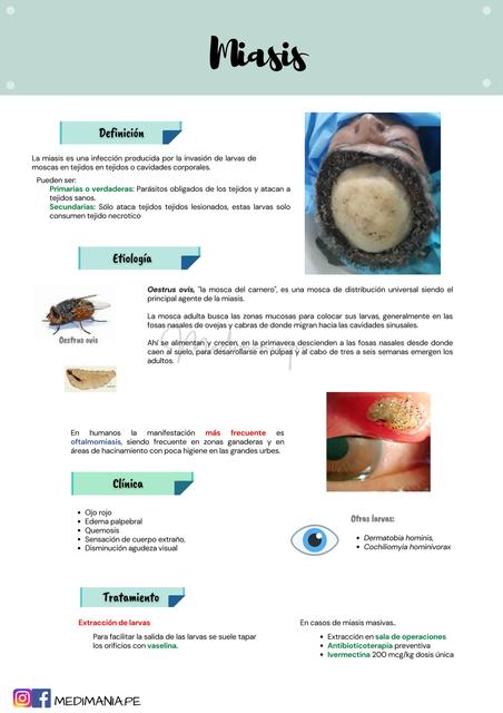 Miasis | Medimania.pe | uDocz