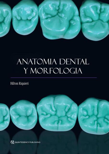 Anatomía dental y Morfologia | Jos | uDocz