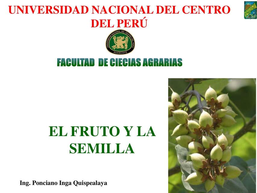 FRUTO Y SEMILLA | PreUny | uDocz