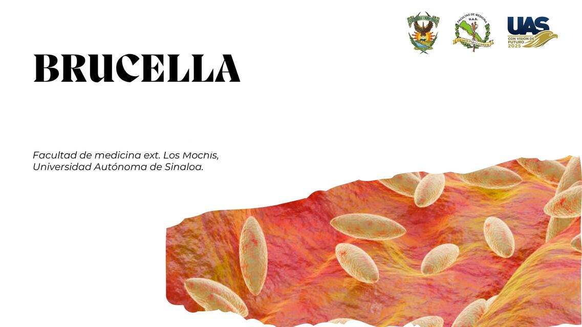 Brucella | zzAD | uDocz