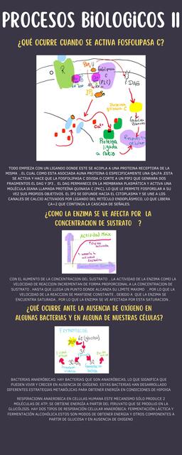 Procesos biologicos II | Claudia belen belen | uDocz