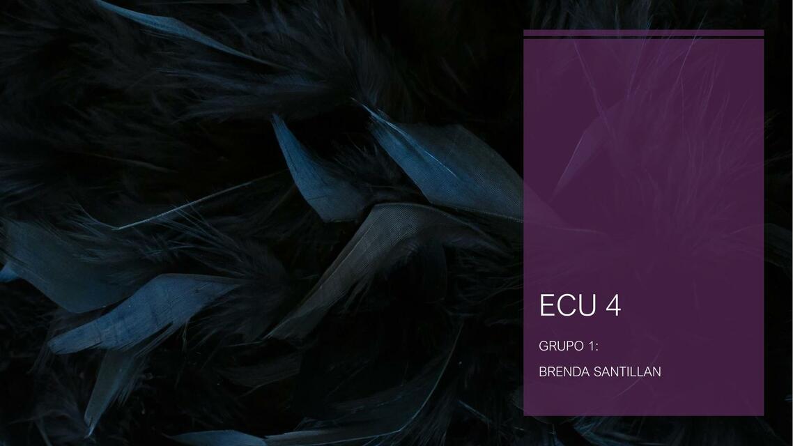 ECU 4 | Diego | uDocz