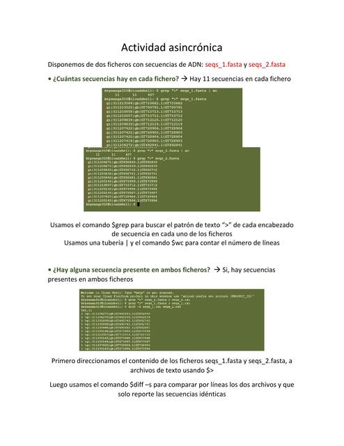 Actividad Asincrónica | Keysa | uDocz